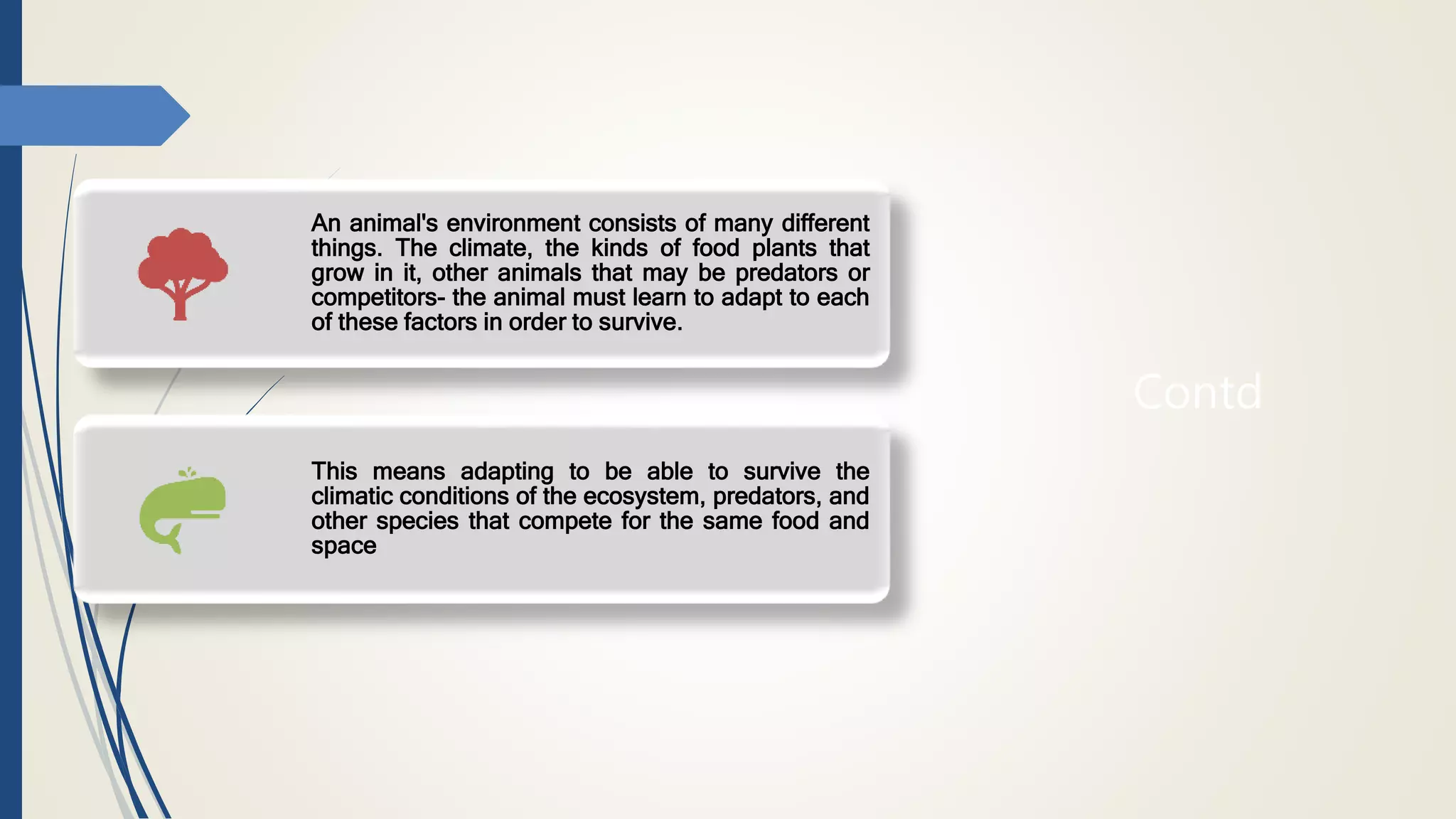 Adaptations of differnet animals in differnt habitats | PPTX