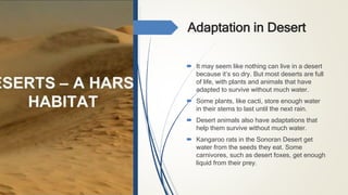 Adaptations of differnet animals in differnt habitats | PPTX