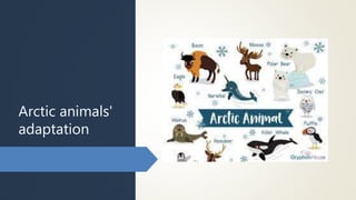 Adaptations of differnet animals in differnt habitats | PPTX
