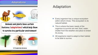 Adaptations of differnet animals in differnt habitats | PPTX