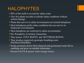 Adaptations of epiphytes and halophytes | PPTX
