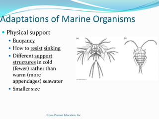 Adaptations of marine organisms | PPTX