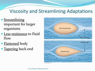 Adaptations of marine organisms | PPTX