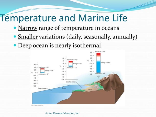 Adaptations of marine organisms | PPTX | Geography | Science