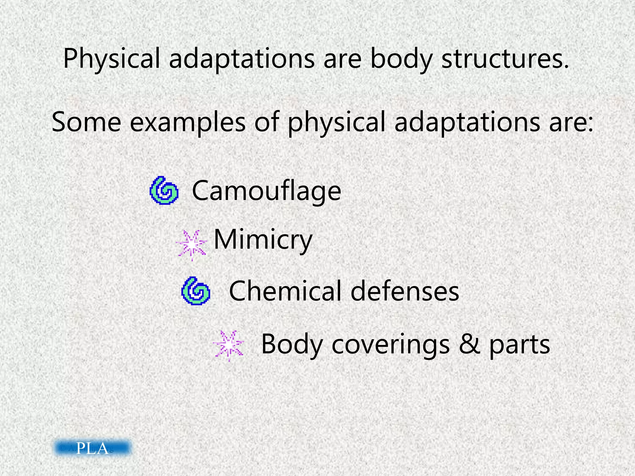 Adaptations of Organisms 1.ppt