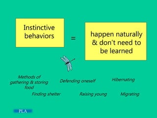 Adaptations of Organisms 1.ppt