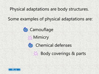 Adaptations of Organisms 1.ppt