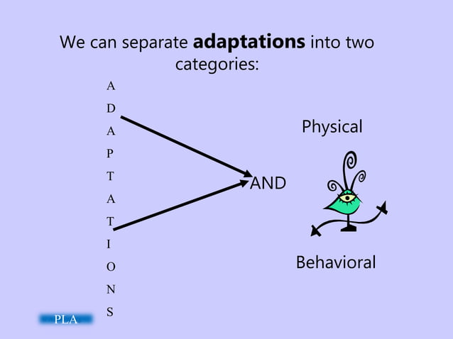 Adaptations of Organisms 1.ppt
