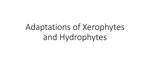 Adaptations of plants- Xerophytes and hydrophytes | PPTX