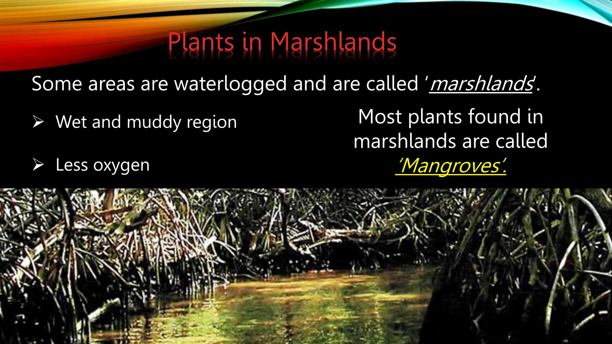 Adaptations of plants of different habitat GRADE 4 science | PPTX ...