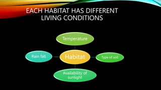 Adaptations of plants of different habitat GRADE 4 science | PPTX