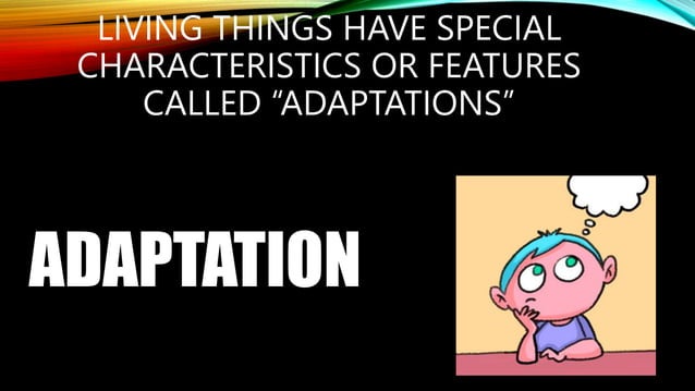 Adaptations of plants of different habitat GRADE 4 science | PPTX ...