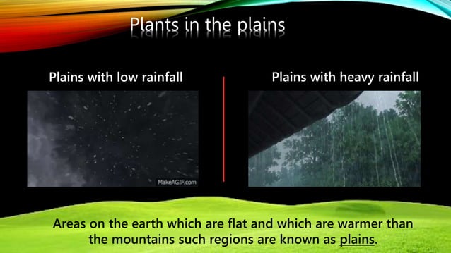 Adaptations of plants of different habitat GRADE 4 science | PPTX ...