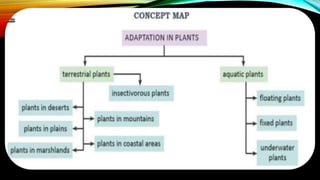 Adaptations of plants of different habitat GRADE 4 science | PPTX