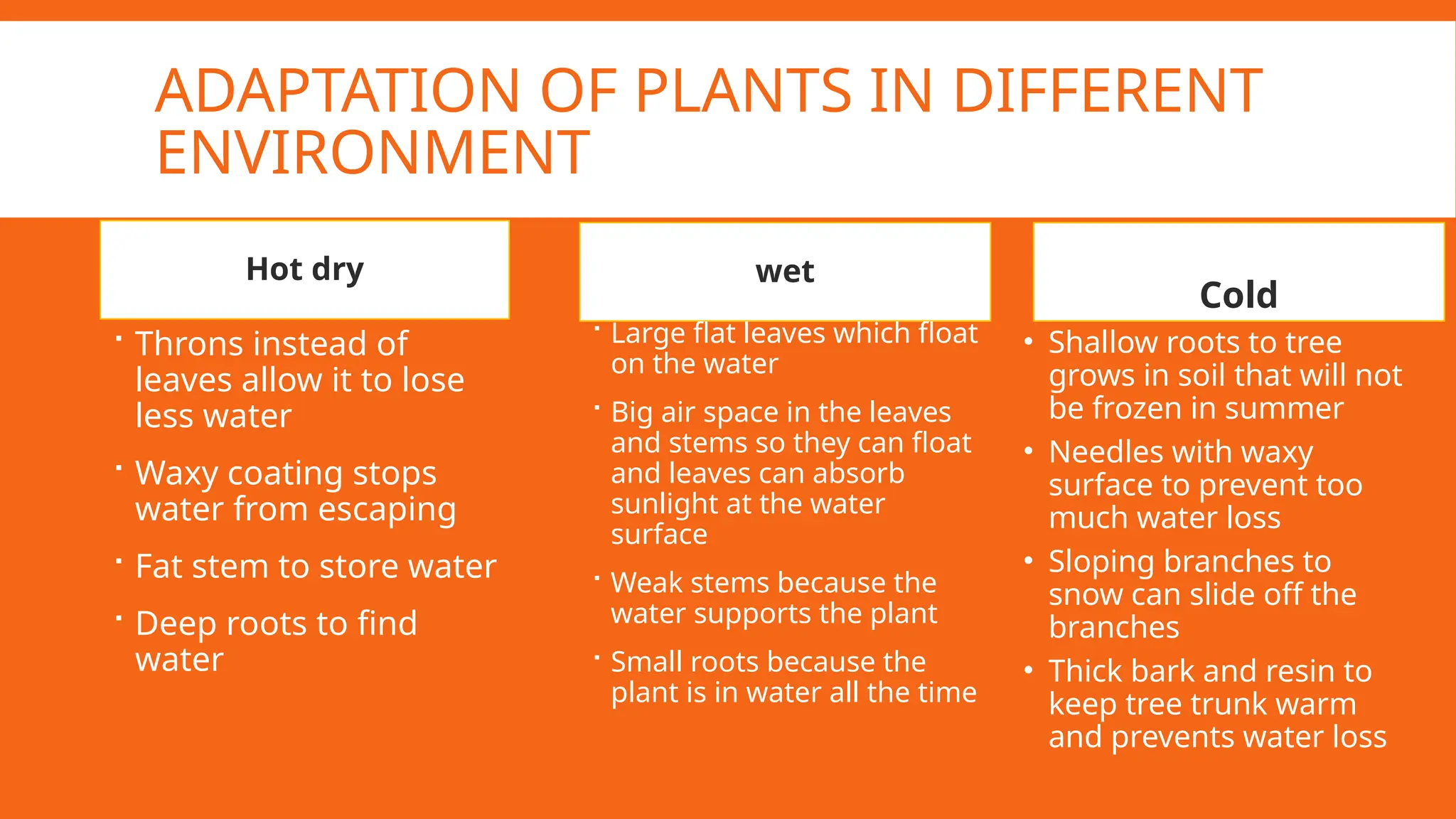 Adaptations of plants and animals in different environment.pptx