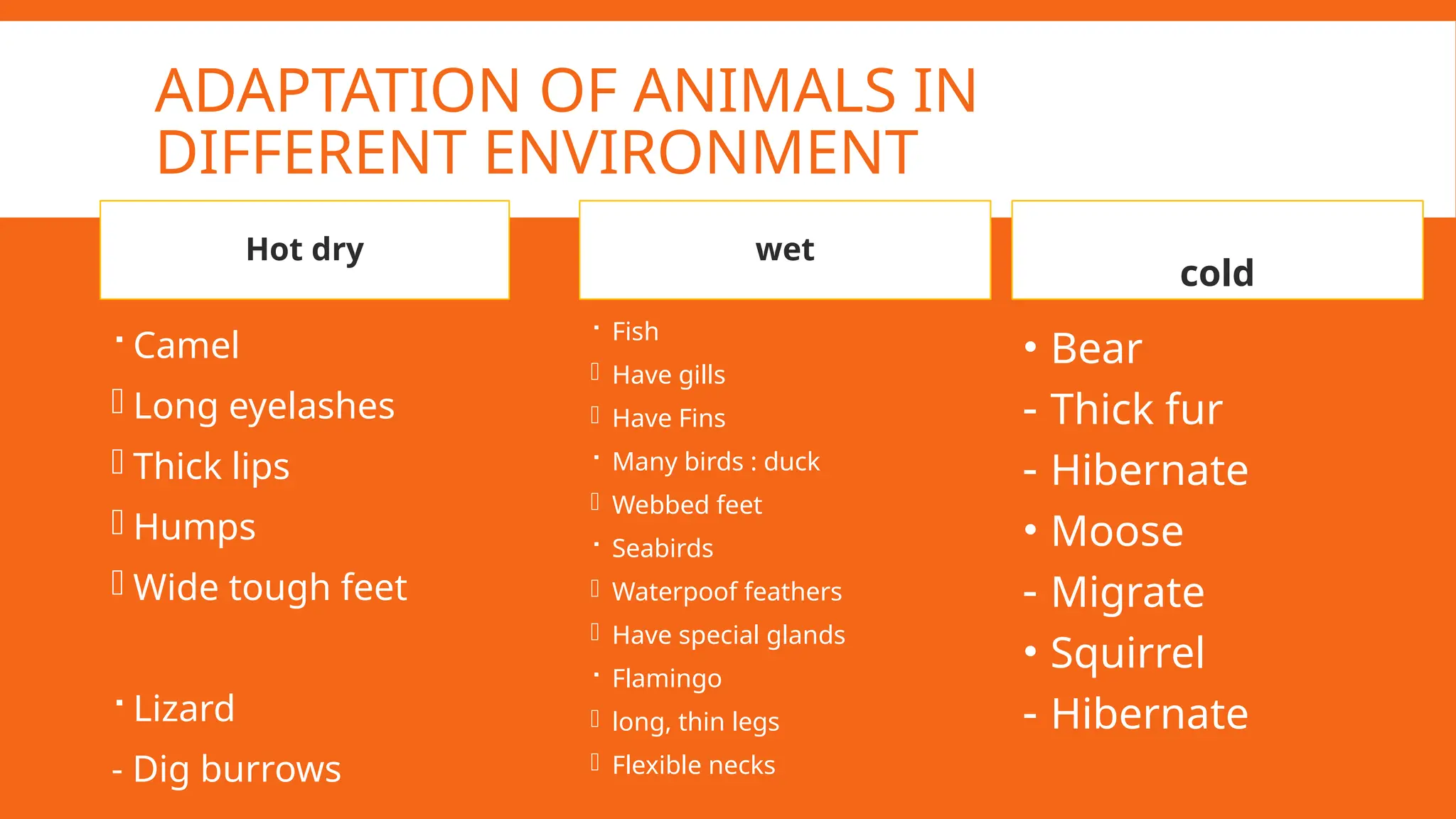 Adaptations of plants and animals in different environment.pptx