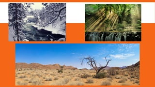 Adaptations of plants and animals in different environment.pptx