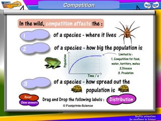 Adaptations & populations | PPT