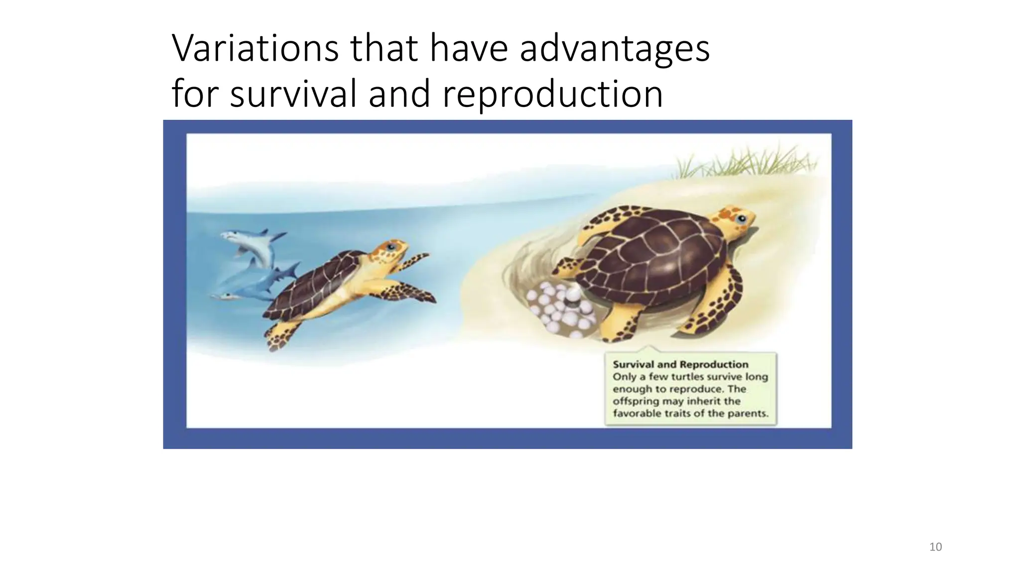 Extreme adaptations for Lower Secondary Checkpoint | PPTX