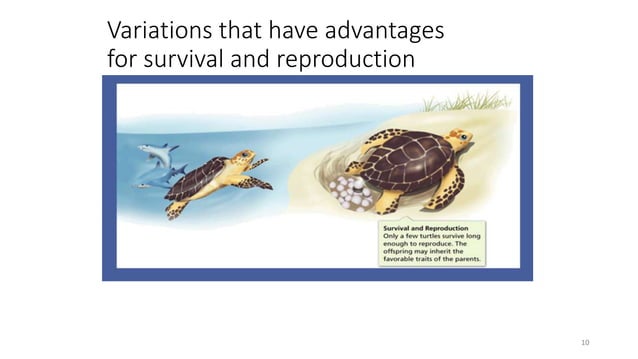 Extreme adaptations for Lower Secondary Checkpoint | PPT