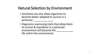 Extreme adaptations for Lower Secondary Checkpoint | PPT