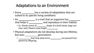Extreme adaptations for Lower Secondary Checkpoint | PPT