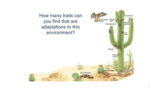Extreme adaptations for Lower Secondary Checkpoint | PPT