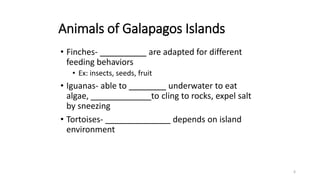 Extreme adaptations for Lower Secondary Checkpoint | PPT