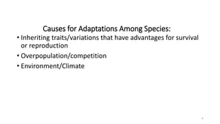 Extreme adaptations for Lower Secondary Checkpoint | PPT