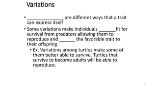 Extreme adaptations for Lower Secondary Checkpoint | PPT