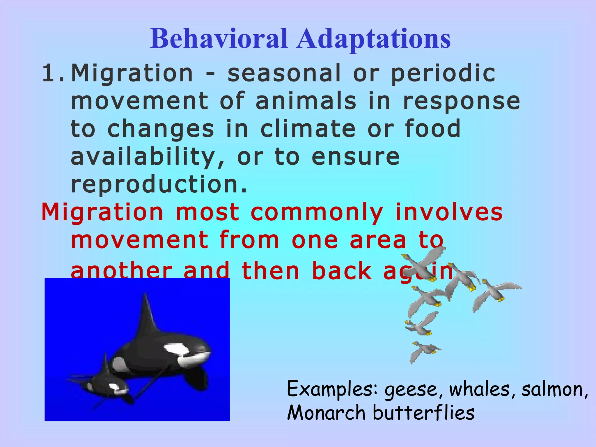 Adaptations ppt | PPT