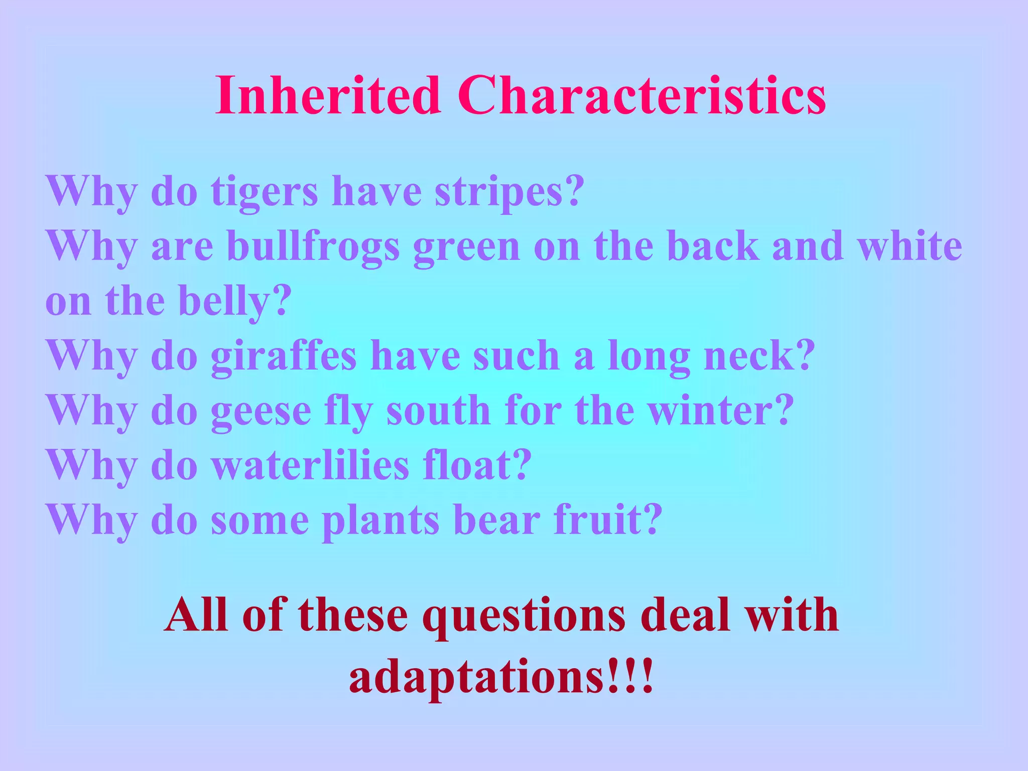 Adaptations ppt | PPT
