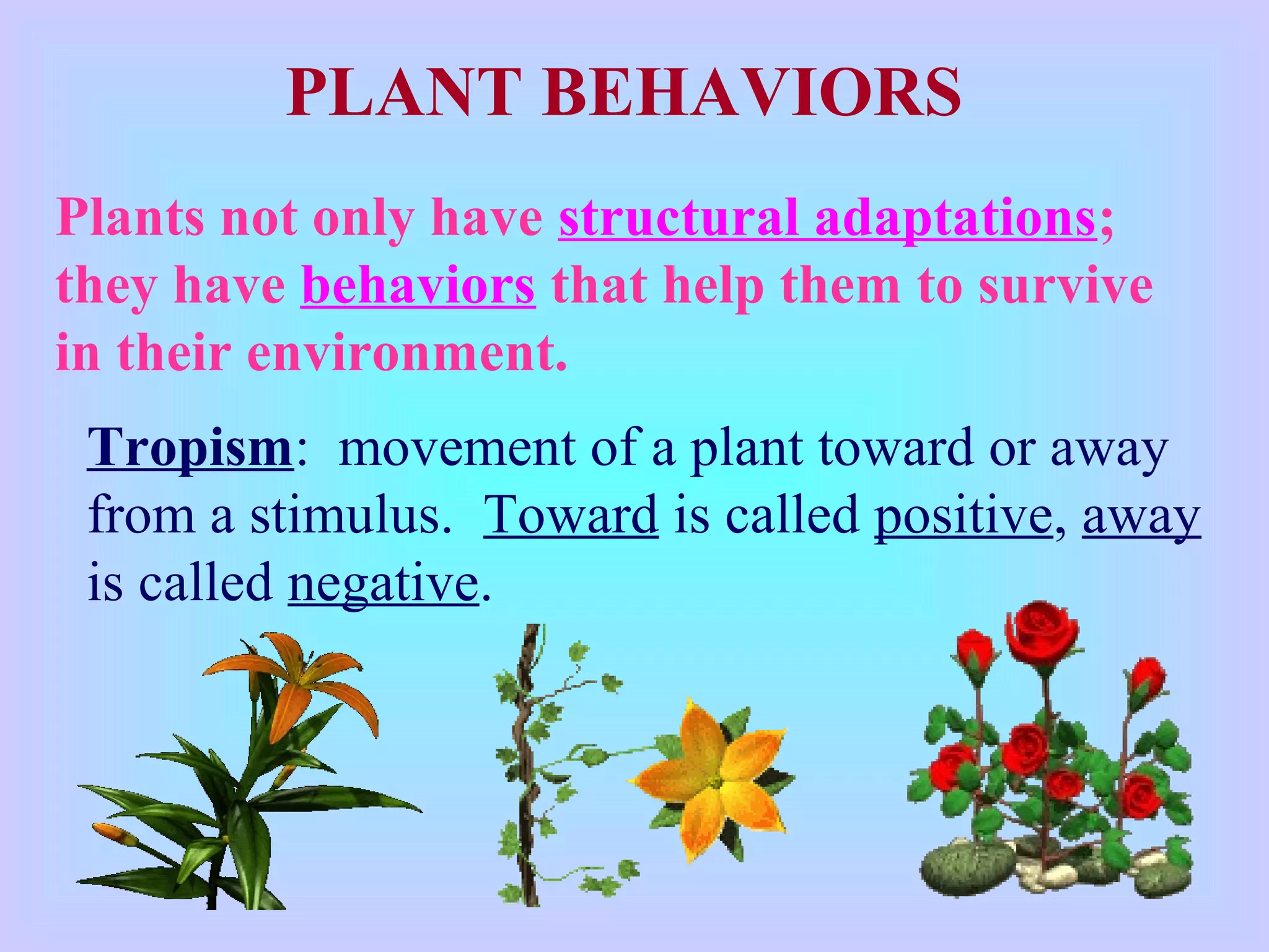 Adaptations ppt | PPT