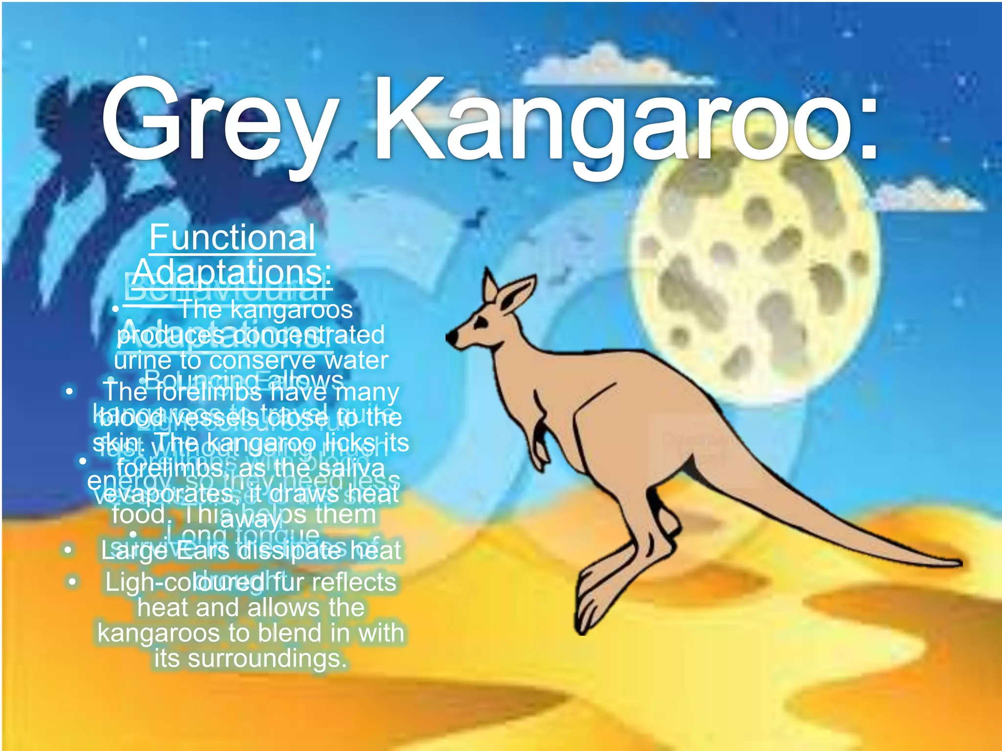 Adaptations presentation | PPTX