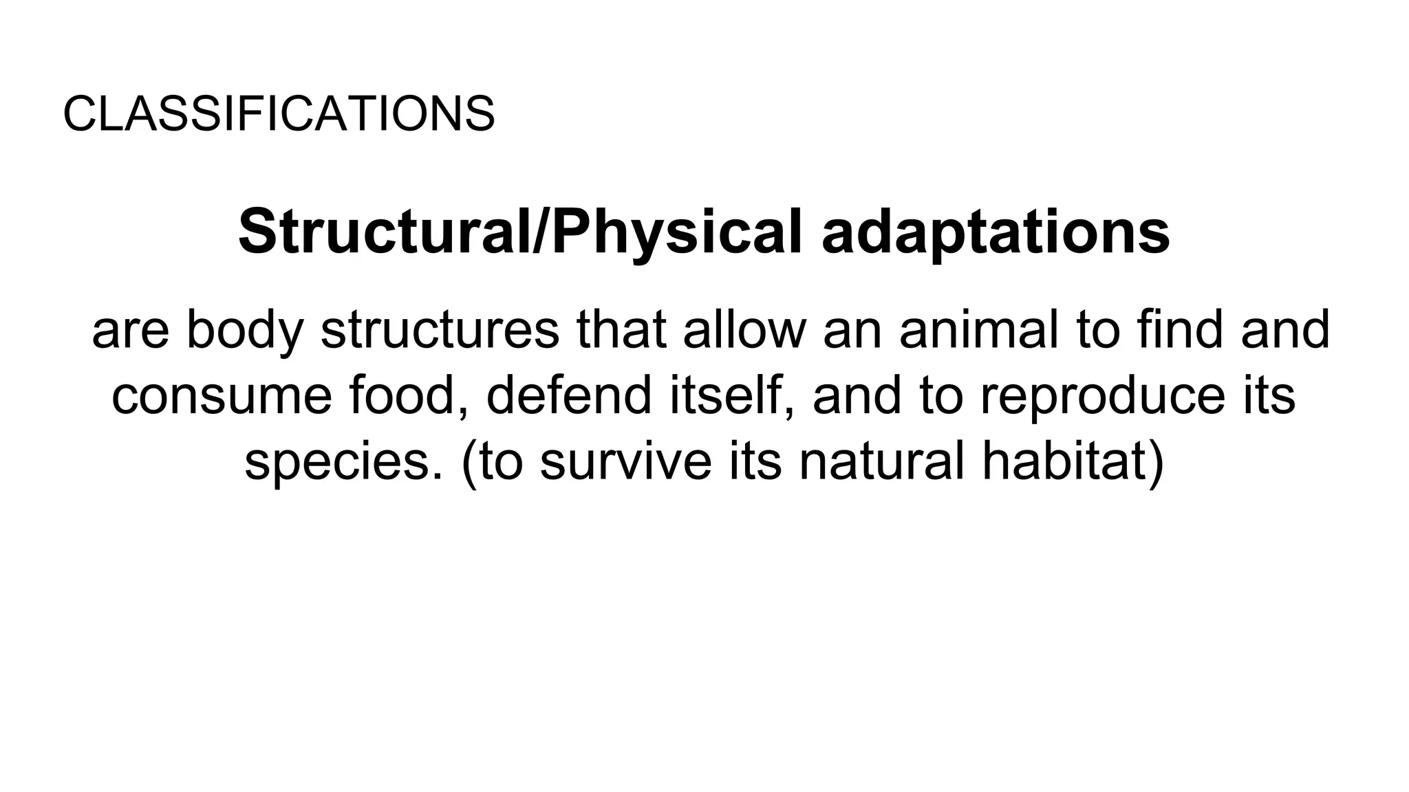 ADAPTATIONS Primary 6.pptx
