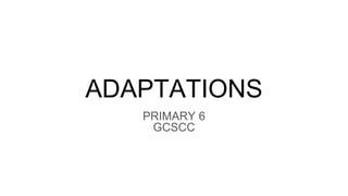 ADAPTATIONS Primary 6.pptx
