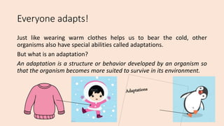 Animal and Plant Adaptations | PPT