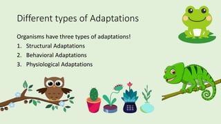 Animal and Plant Adaptations | PPTX