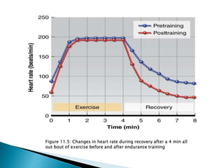 Adaptationstoaerobictraining.ppt