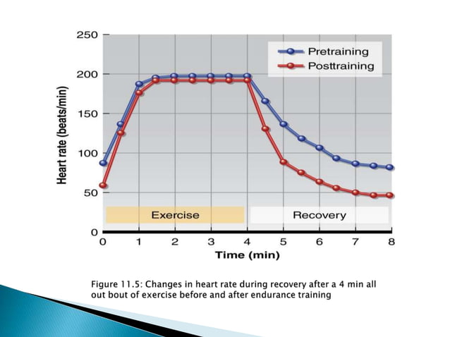 Adaptationstoaerobictraining.ppt