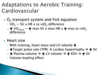 Adaptationstoaerobictraining.ppt