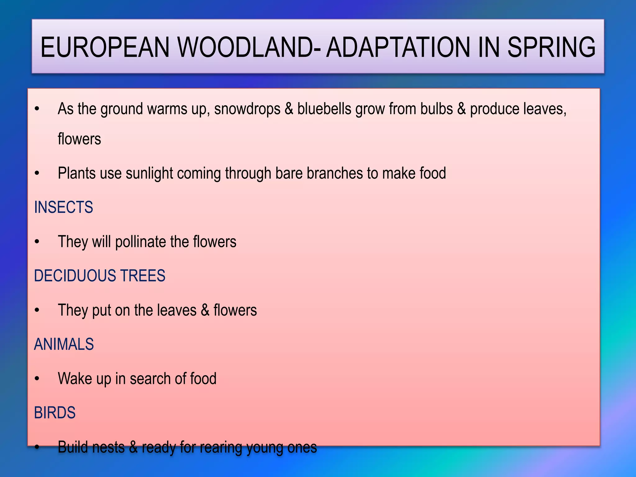 ADAPTATIONS TO A HABITAT.pptx
