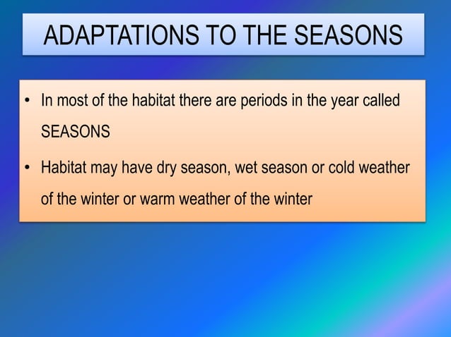ADAPTATIONS TO A HABITAT.pptx | Fish and Aquariums | Pets