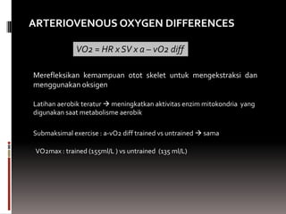 Adaptations to cardiorespiratory exercise training | PPT