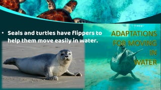 Adaptations to Water and self defense of animals | PDF | Fish and ...