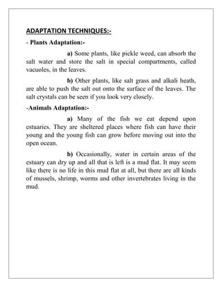 Marine Biome Plants Adaptations