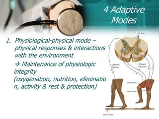 Adaptation Theories | PPTX