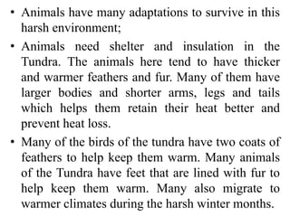 Adaptation_to_cold_climate (1).pptx