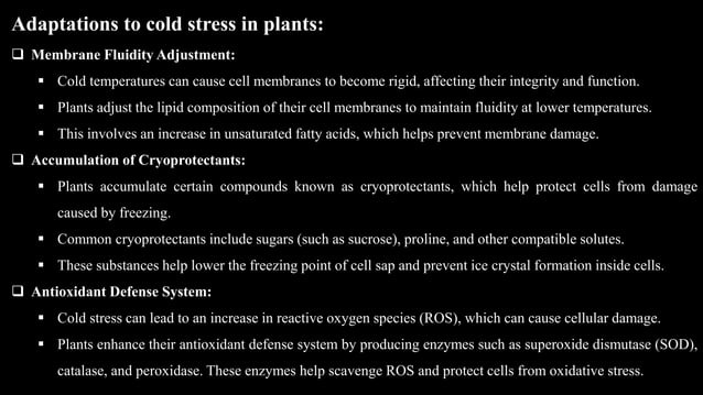 Adaptation mechanism to cold stress.pptx | Endocrine and Metabolic ...