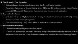 Adaptation mechanism to cold stress.pptx | Endocrine and Metabolic ...